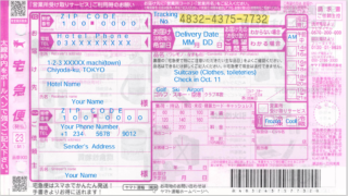 Sending Luggage and Packages | Japan Travel 101